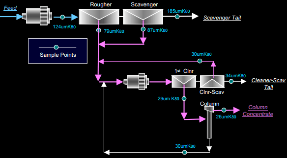 Flotation Process Development and Assessment