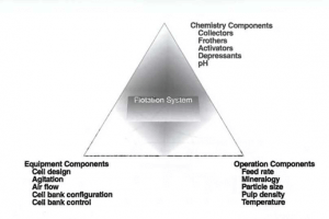 Froth Flotation System