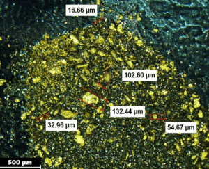 Gold Prospector Microscope - DIY Mineralogy & Microscopy for Prospecting