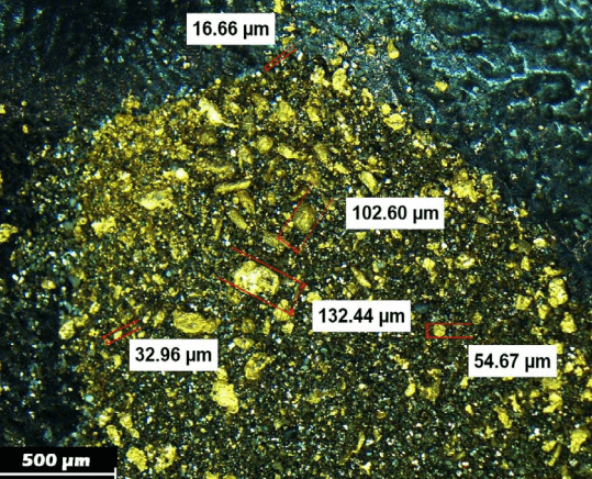 Gold Prospector Microscope - DIY Mineralogy & Microscopy for Prospecting