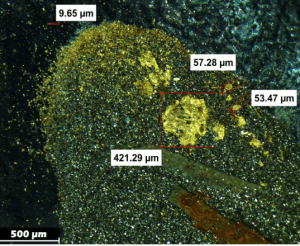 Gold Prospector Microscope - DIY Mineralogy & Microscopy for Prospecting