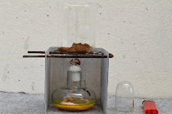 Gold extraction by gold refining