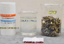 Gold Extraction from eScrap CPU Computer Chips