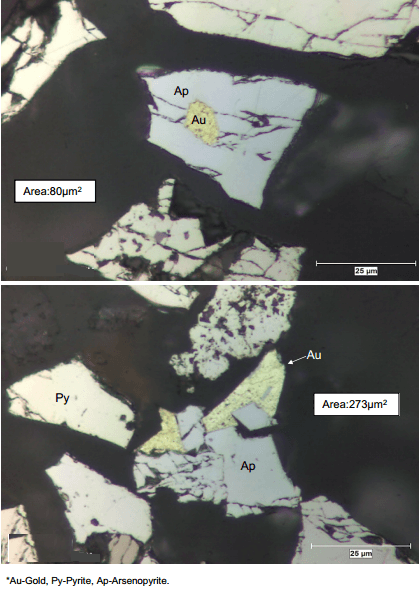Gold in Arsenopyrite