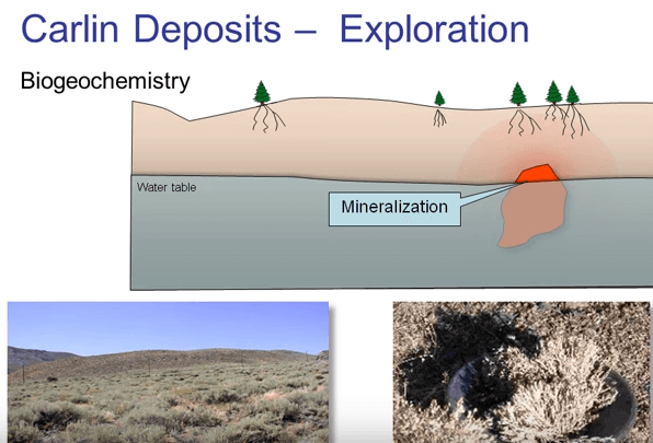 Carlin Type Gold System Exploration