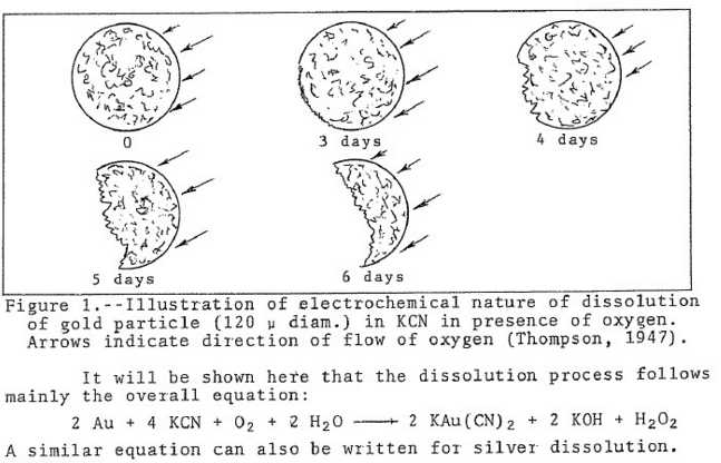 Effect of Gold Particle Size on Rate of Dissolution