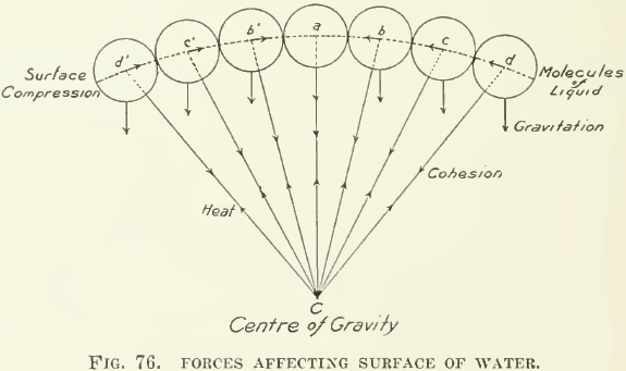 Flotation Bubble Surface Compression