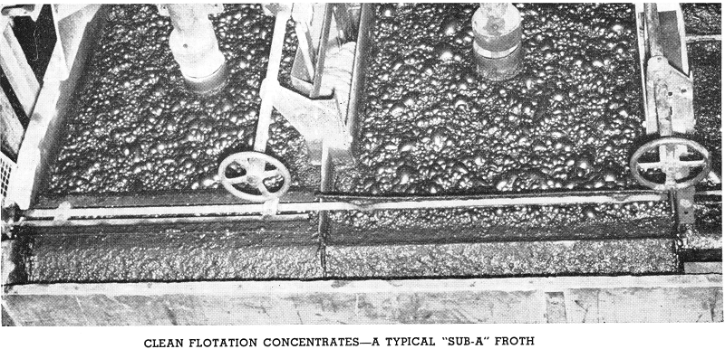 Size by Size Particle Size Distribution Profile & Flotation Recovery ...
