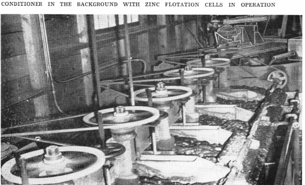 Mineral Processing Plant Design & Construction Example