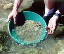 Gold Panning Technique