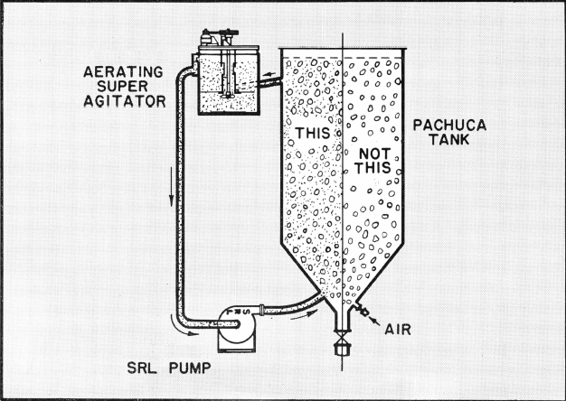 Batch Cyanidation Leach of Flotation Concentrate