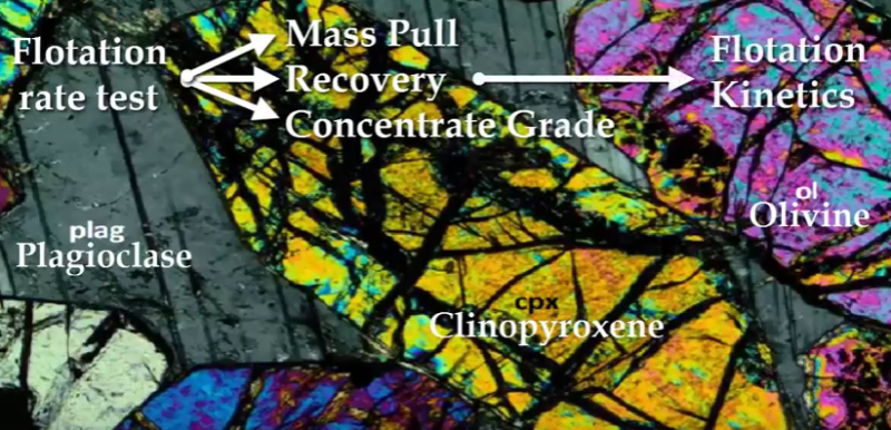Mineralogy & Flotation: Floatability VS Selectivity Test Assessment