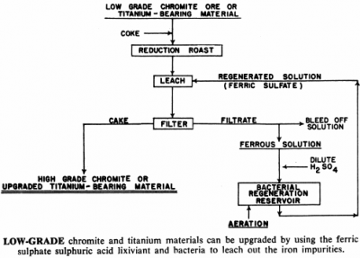 Bacteria Leaching Low Grade Ores