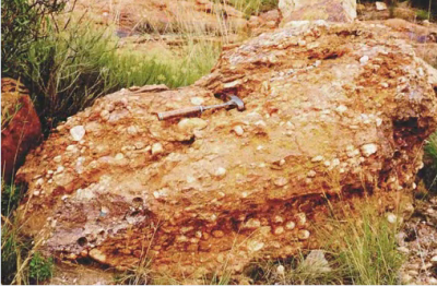 Witwatersrand Gold Deposits