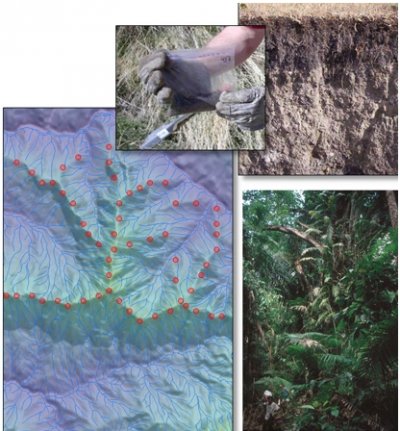 Mining Exploration Process