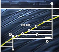 Witwatersrand Gold Deposits