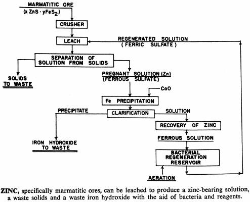Bacteria Leaching Low Grade Ores