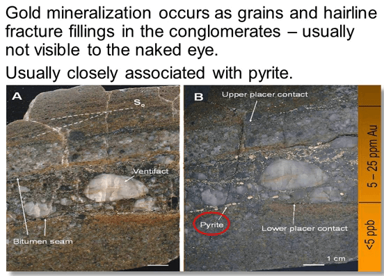 Witwatersrand Gold Deposits