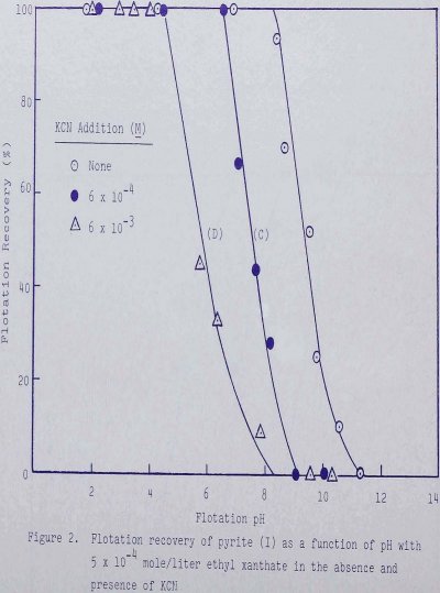 How does Cyanide Depress Pyrite - Mechanisms - 911Metallurgist